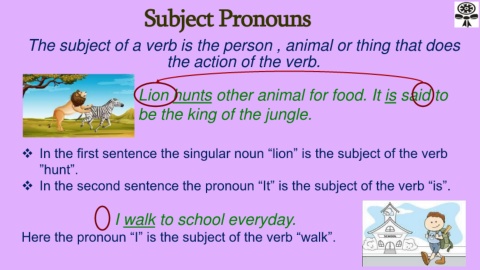 jungle verbs
