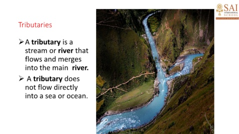 what does tributaries