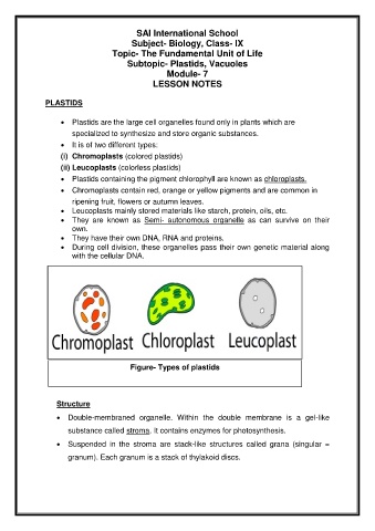 plastids structure and function ppt